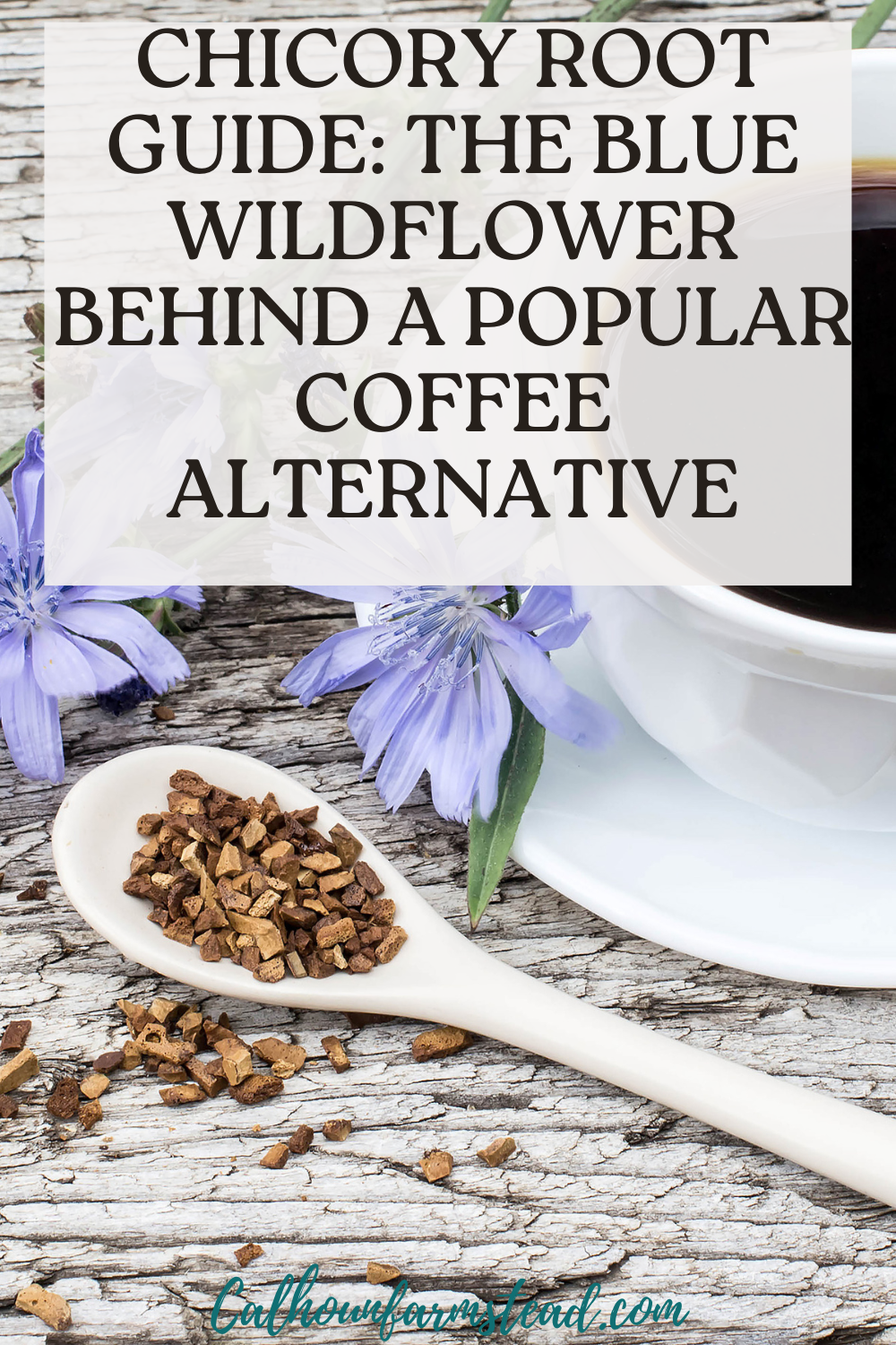 Chicory Root Guide: The Blue Wildflower Behind a Popular Coffee Altern ...