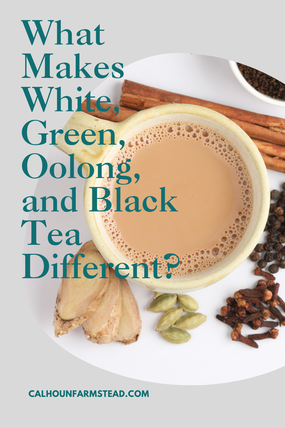 What Makes White, Green, Oolong, and Black Tea Different? – Calhoun Farm