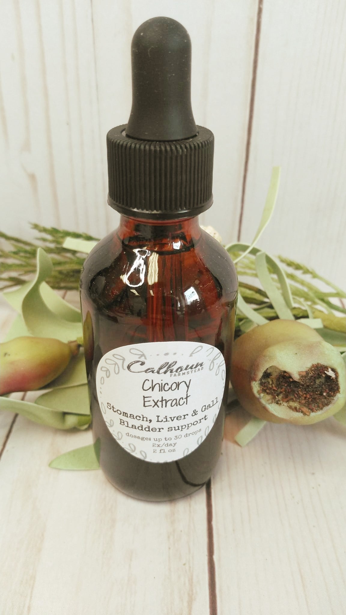 Chicory Extract - Upset Stomach - Liver - Gall Bladder - 2oz dropper b ...