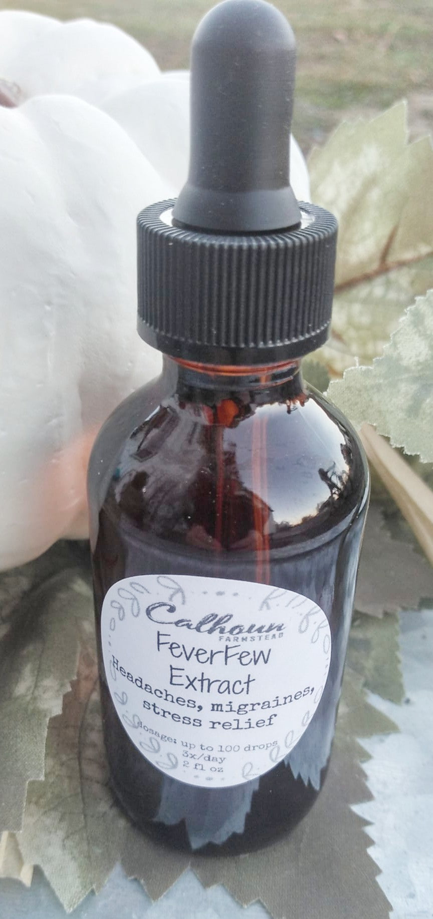 FeverFew Extract - Tincture – Calhoun Farm